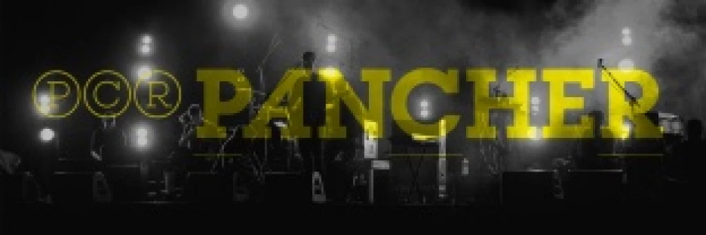 УПРАВЛЯЮЩАЯ КОМПАНИЯ В СФЕРЕ ШОУ-БИЗНЕСА "PANCHER" – Myband